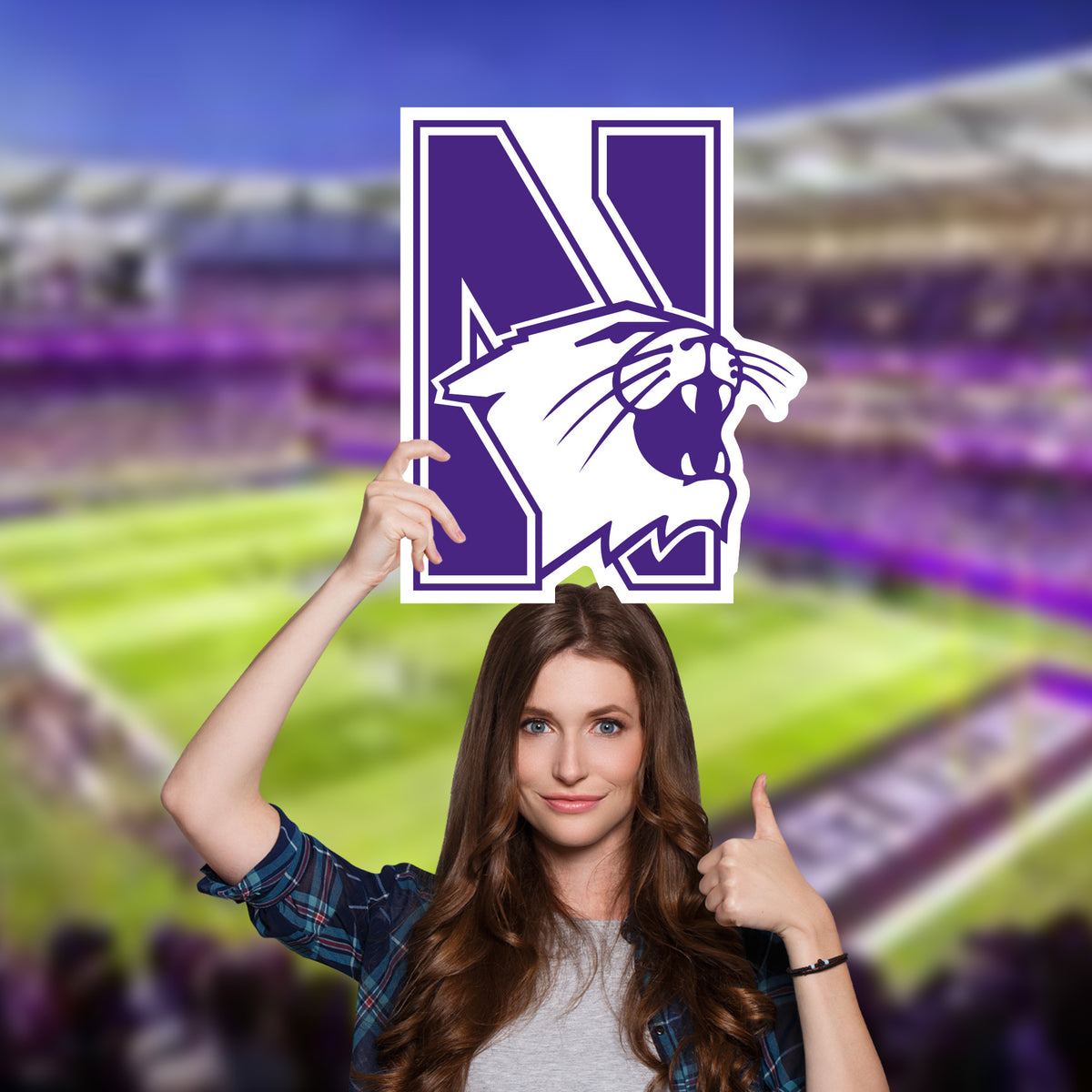 Northwestern Wildcats Logo - Big Head - Official NCAA - Foam Core Cuto ...
