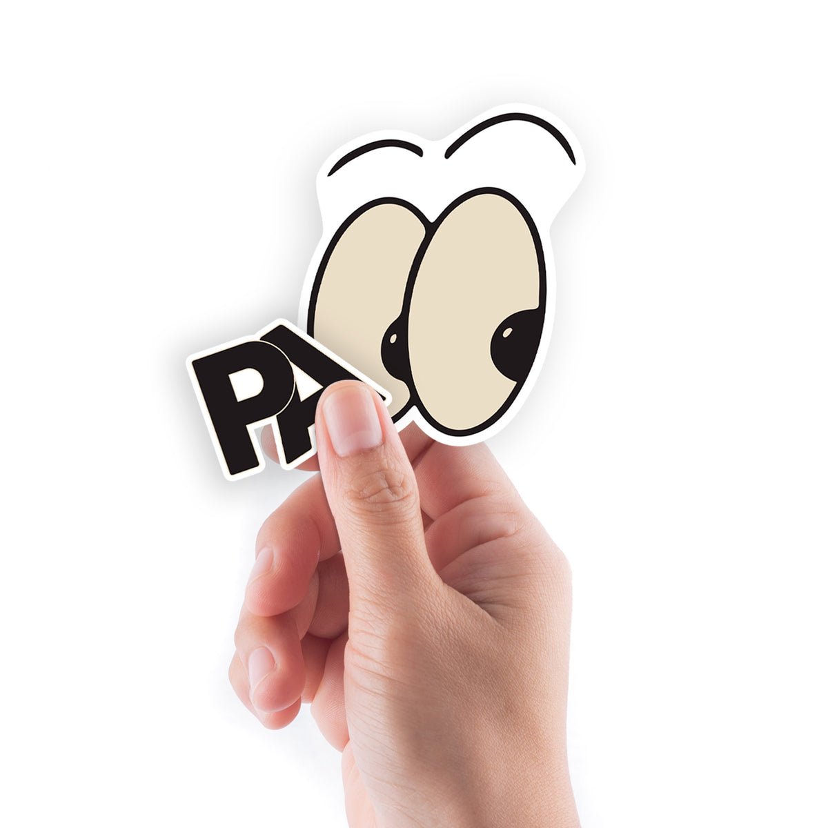 The Pointer Brothers - 5 Logo Minis (Mixed Sizes) - Officially License ...