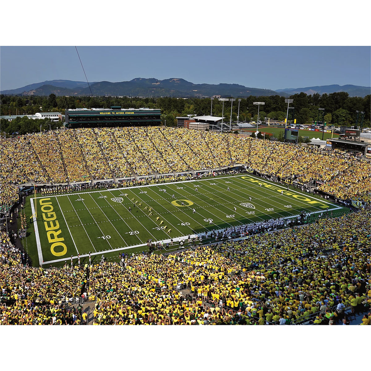 Oregon Ducks - Autzen Stadium Corner View - Peel & Stick Poster - Offi ...