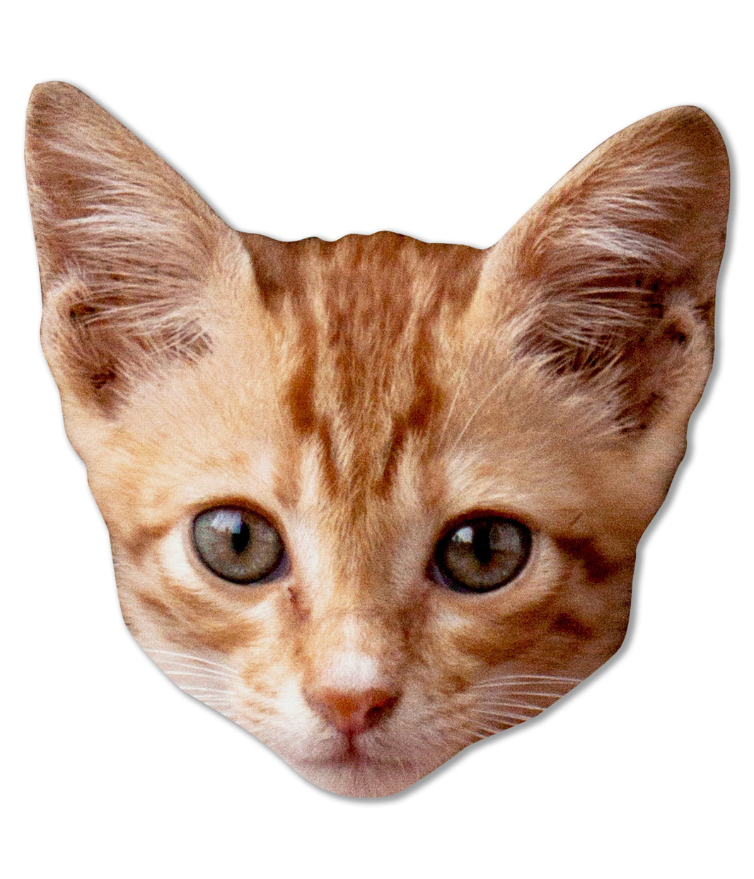 Custom Big Heads – Fathead