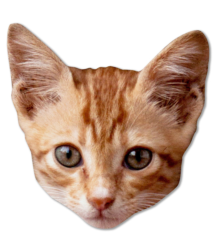 Custom Big Heads – Fathead