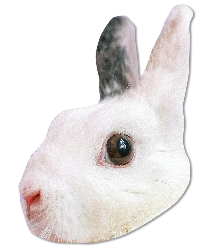 Custom Big Heads – Fathead