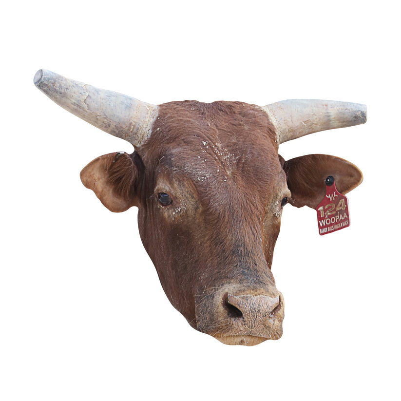 PBR: Woopaa Foam Core Cutout - Officially Licensed Pro Bull Riding Big ...