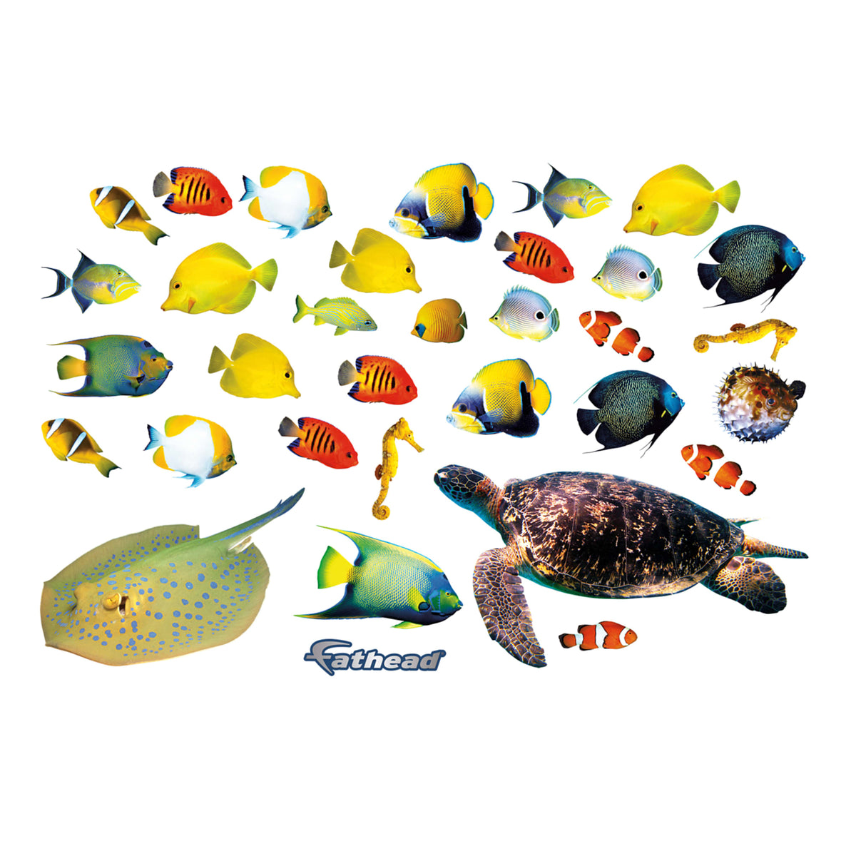 Animals: Tropical Fish - Removable Adhesive Decal – Fathead