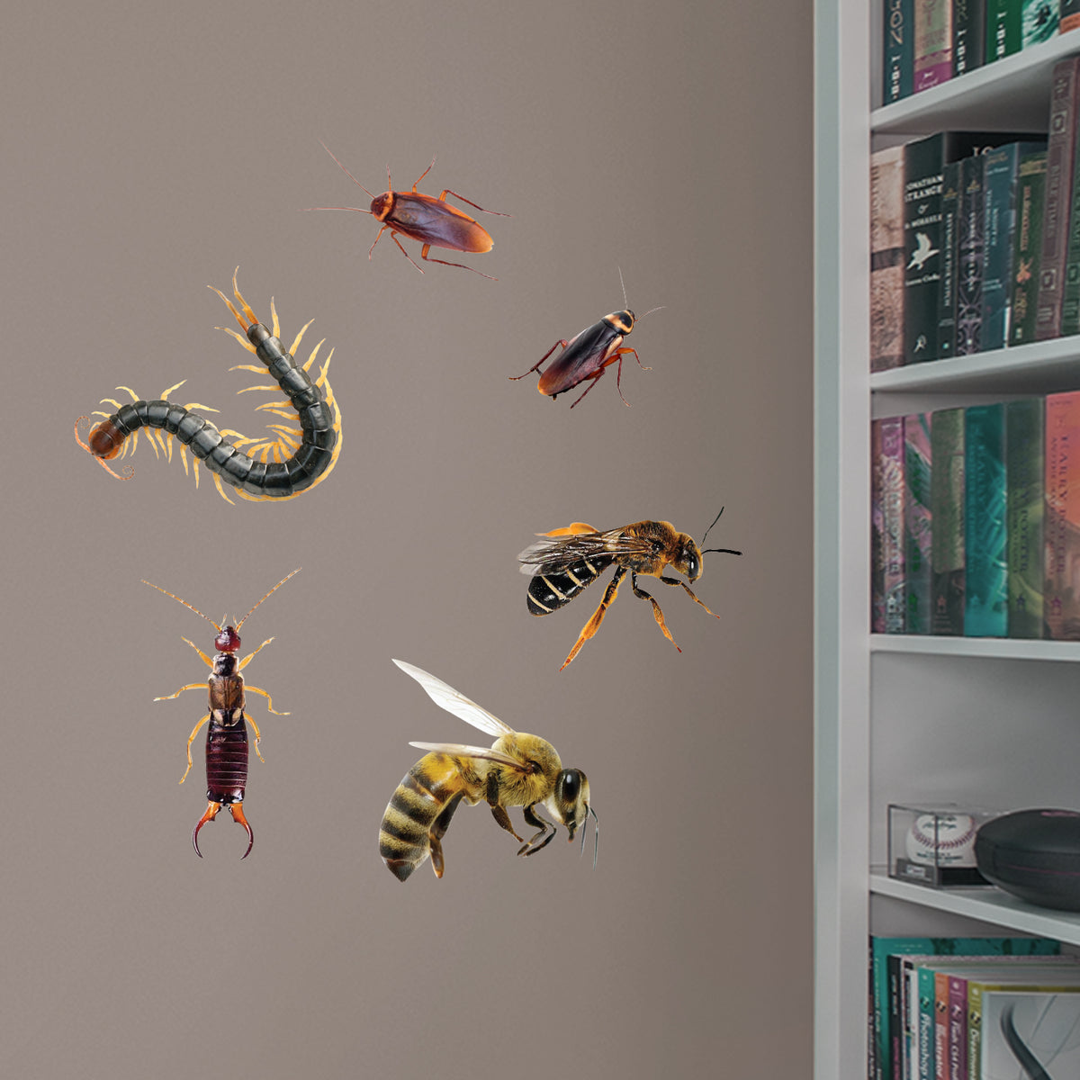 Pranks: Prank Bugs Collection - Removable Adhesive Decal – Fathead