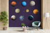 Planets: Nine Planets Collection - Removable Wall Adhesive Decal – Fathead