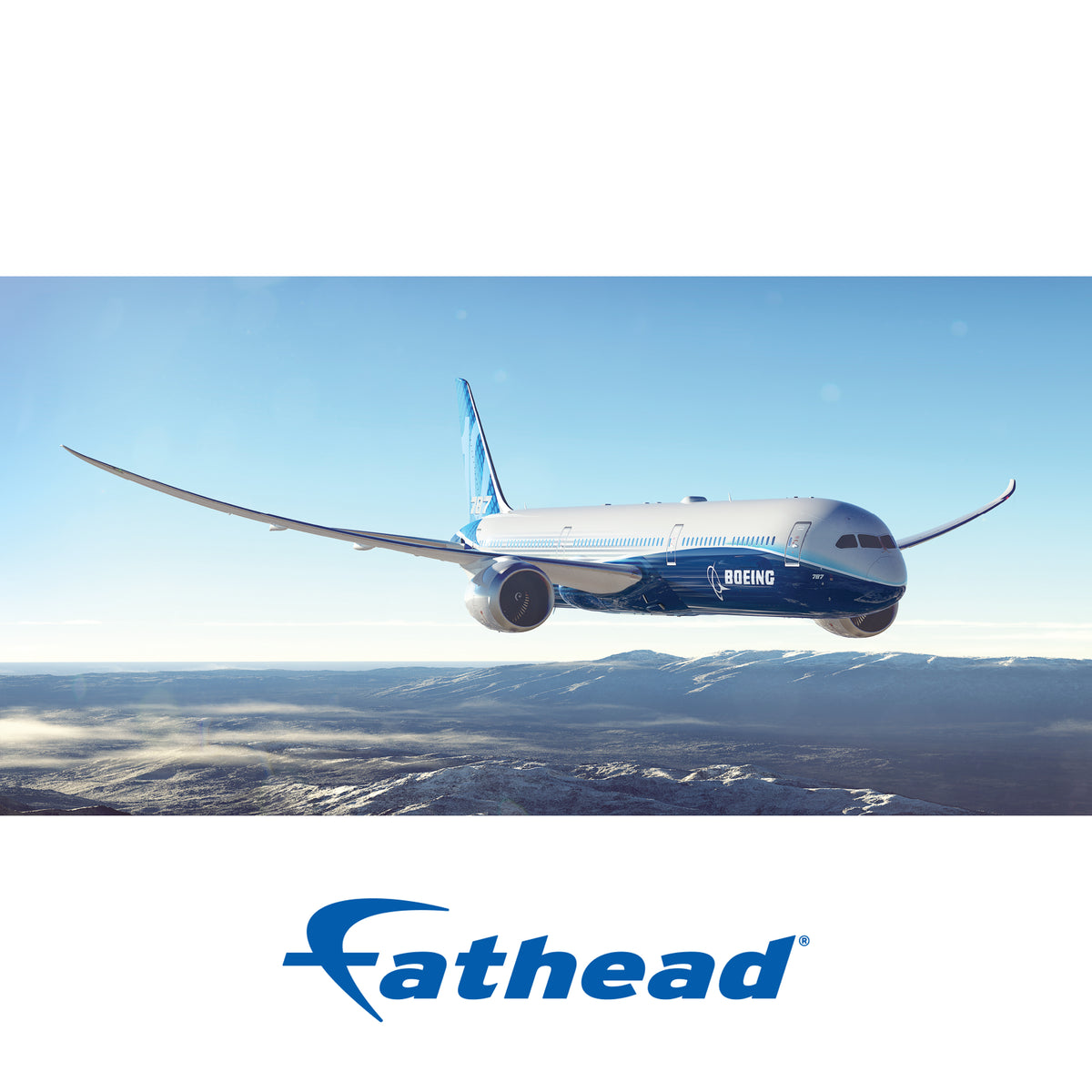 Boeing: Boeing VOD9ZB_787-10 Poster - Officially Licensed Boeing Remov ...