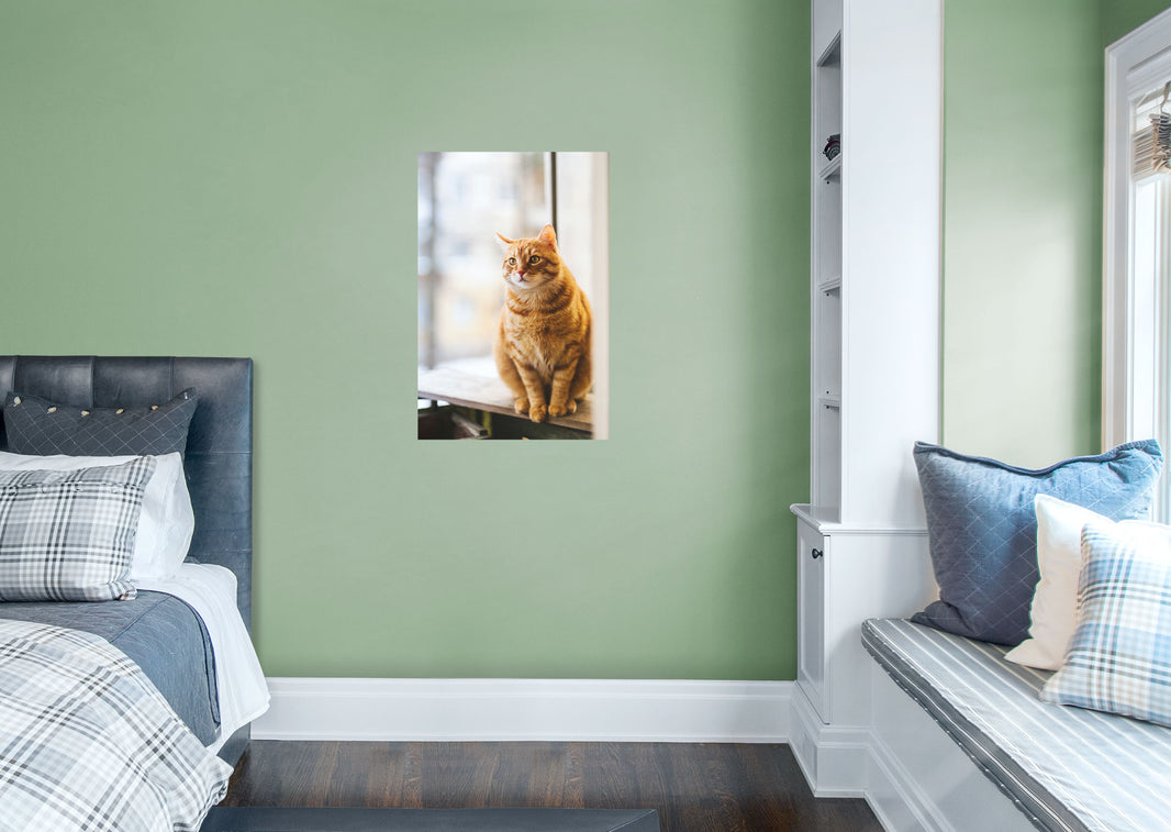 Custom Wall Decals – Fathead