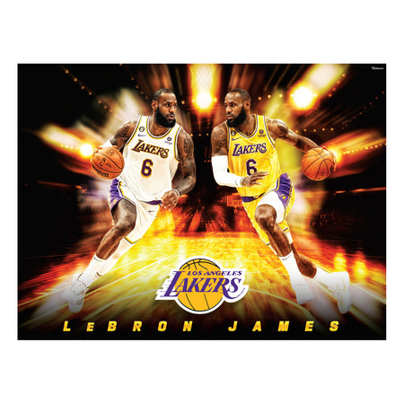 LeBron James - Icon Series - Peel & Stick Poster - Official NBA - Los ...